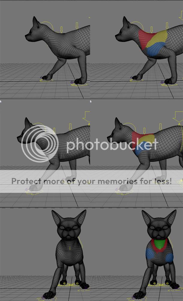 Quadruped topology for muscle sim - Rigging - Tech-Artists.Org